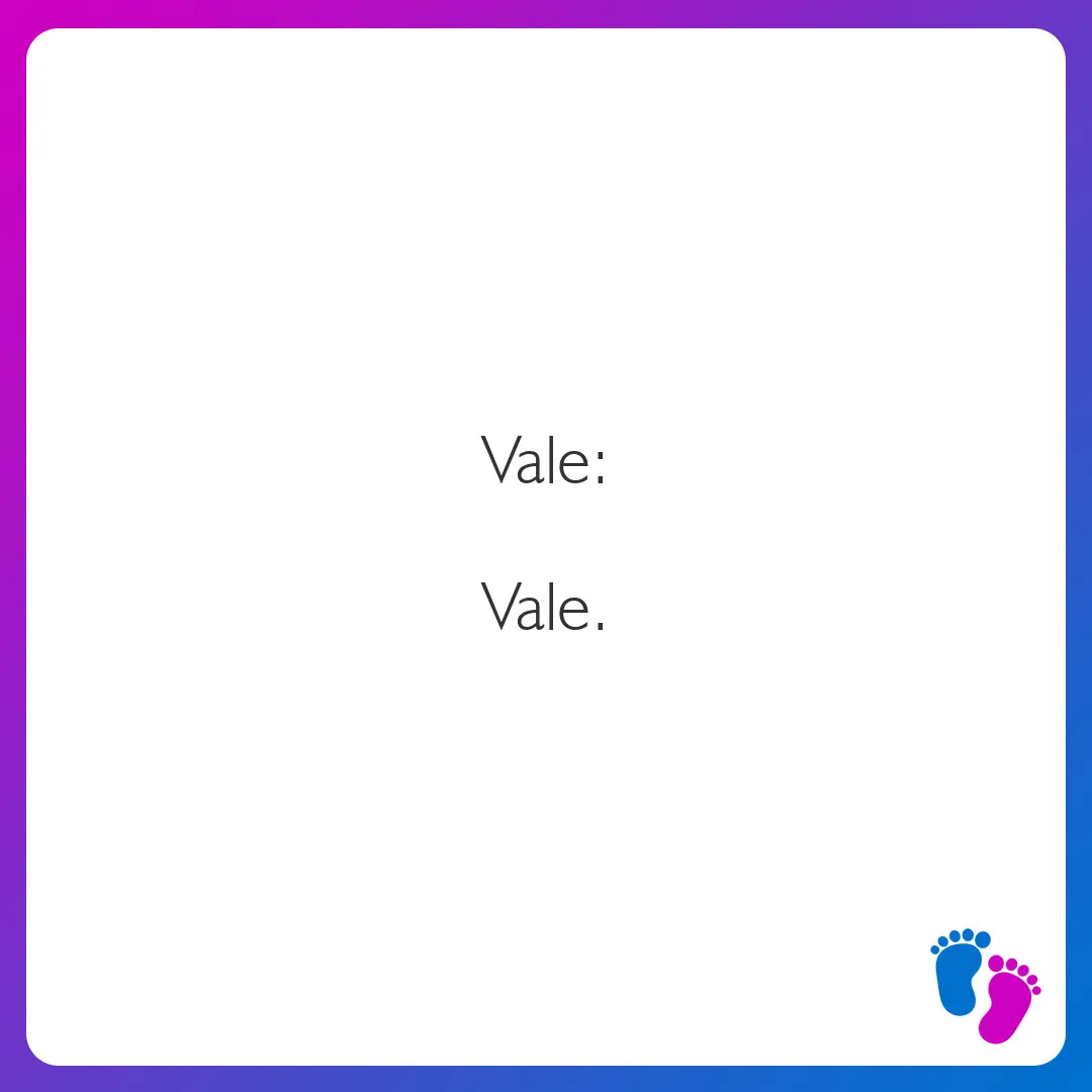 Vale | Significado, origem e curiosidades do nome